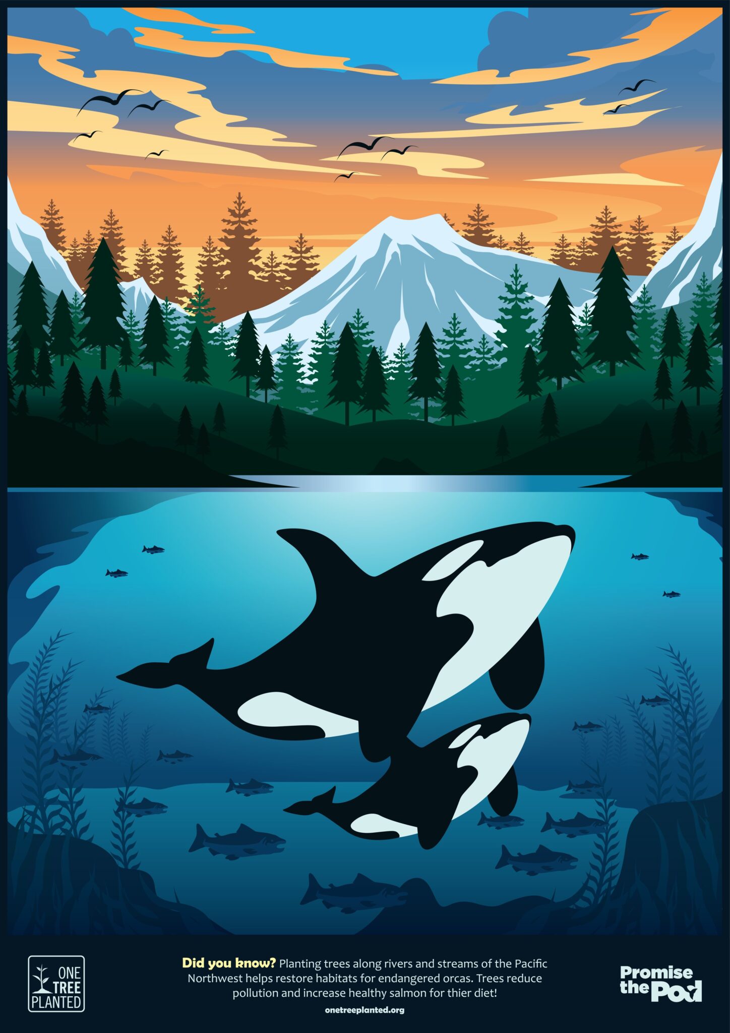 Plant a Tree, Protect the Orcas | Trove Cannabis