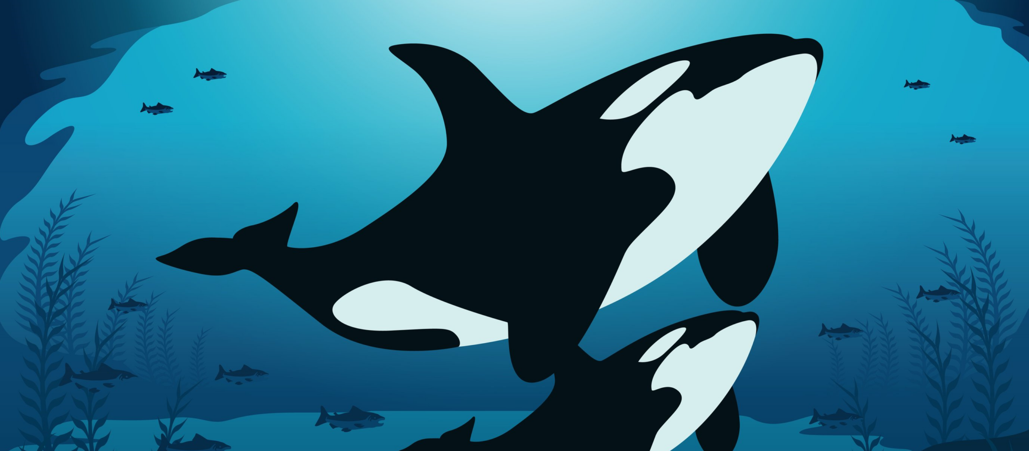 Plant a Tree, Protect the Orcas | Trove Cannabis