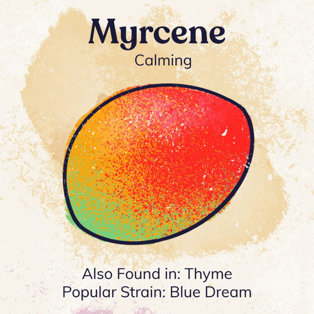 A Spotlight on Myrcene | Trove Cannabis