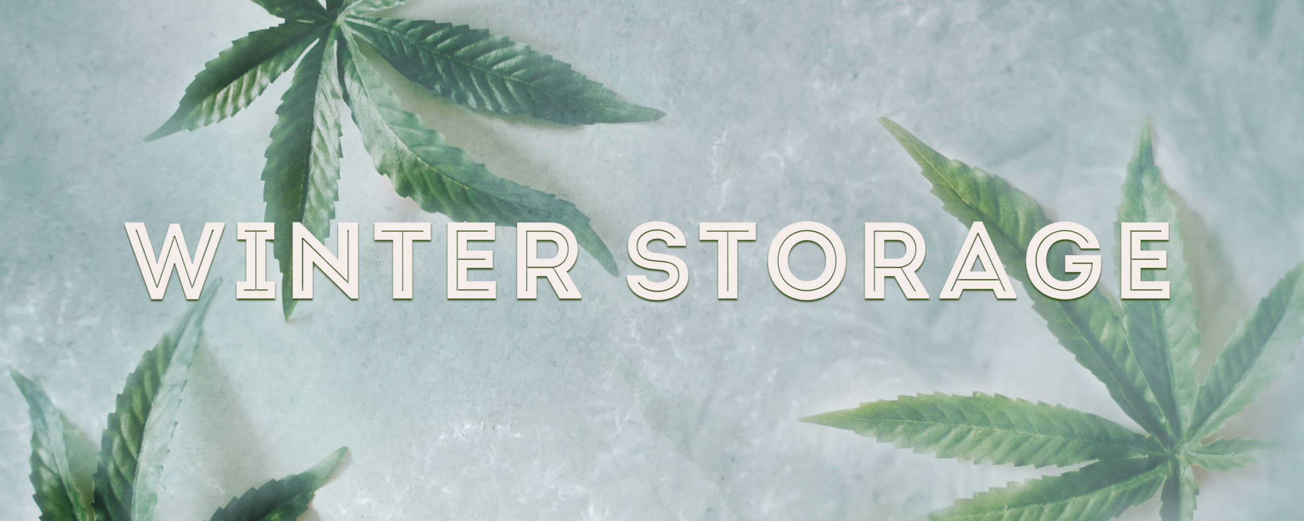 How to Store Cannabis During Cold Weather | Trove Cannabis